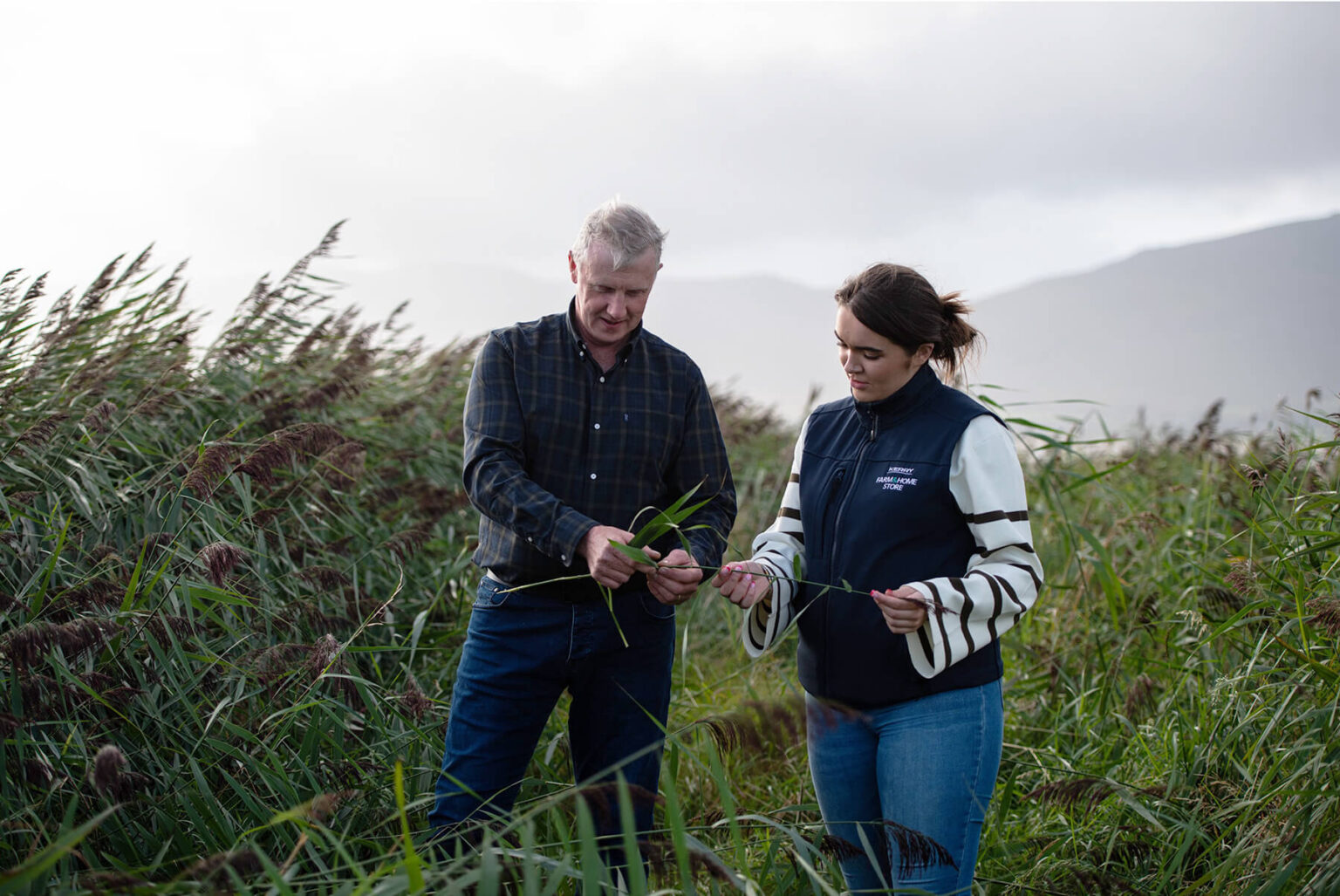 Trading & Locations | Kerry Dairy Ireland